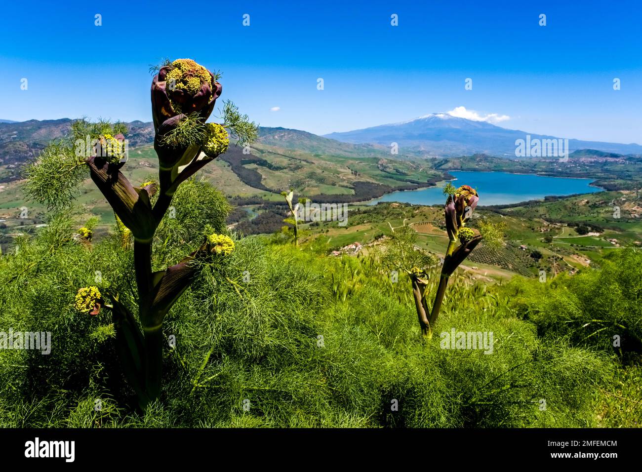 Aerial view on agricultural landscape with green hills, trees and ...