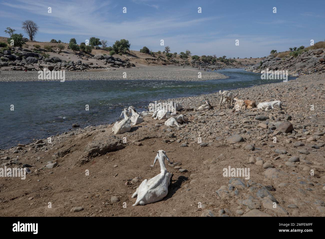 A general view of the empty banks of the Tekeze River, on the Sudan ...