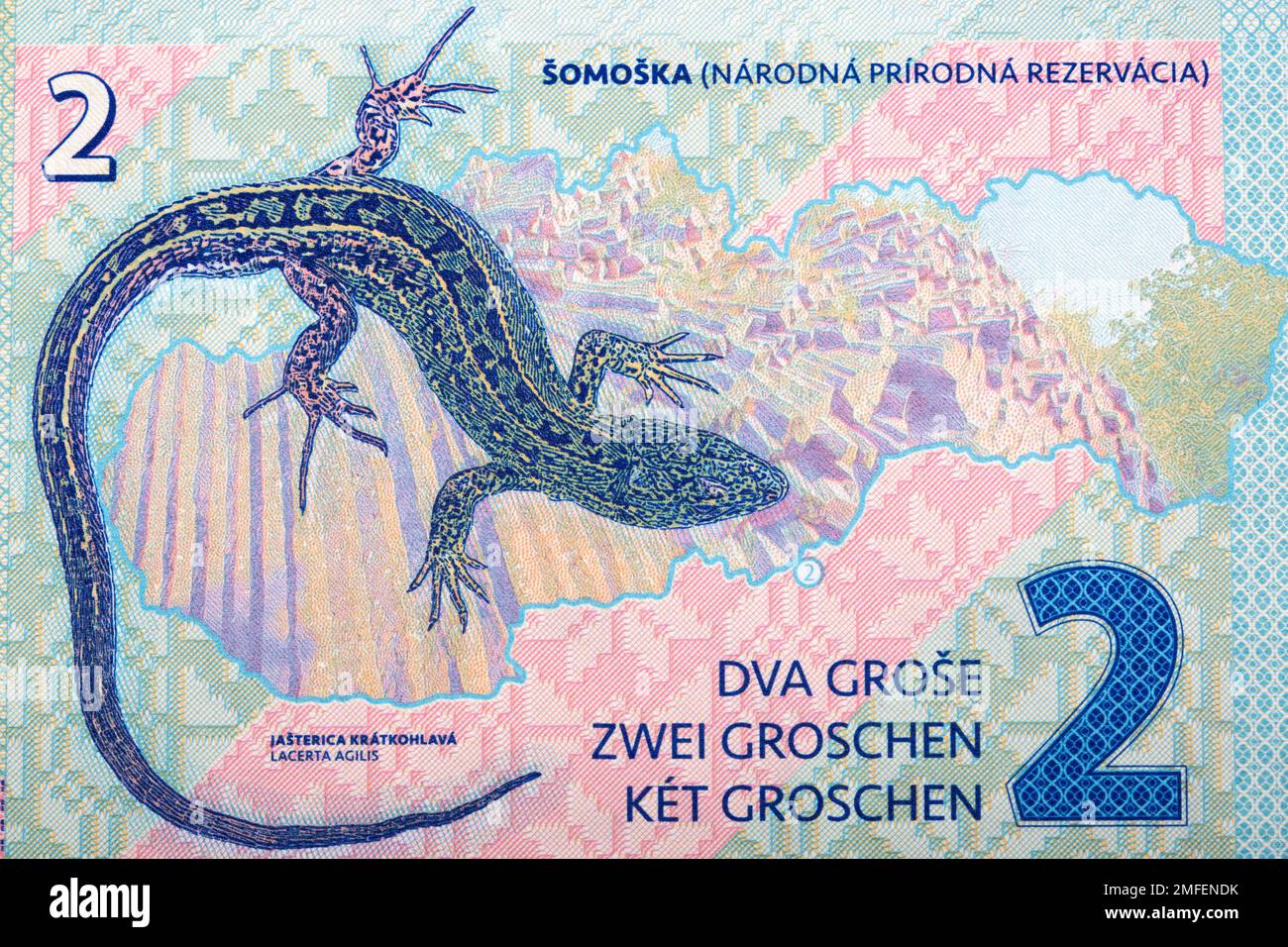 Money lizard hi-res stock photography and images - Alamy