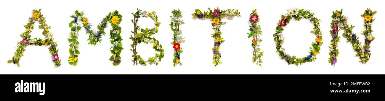 Blooming Flower Letters Building English Word Ambition Stock Photo - Alamy