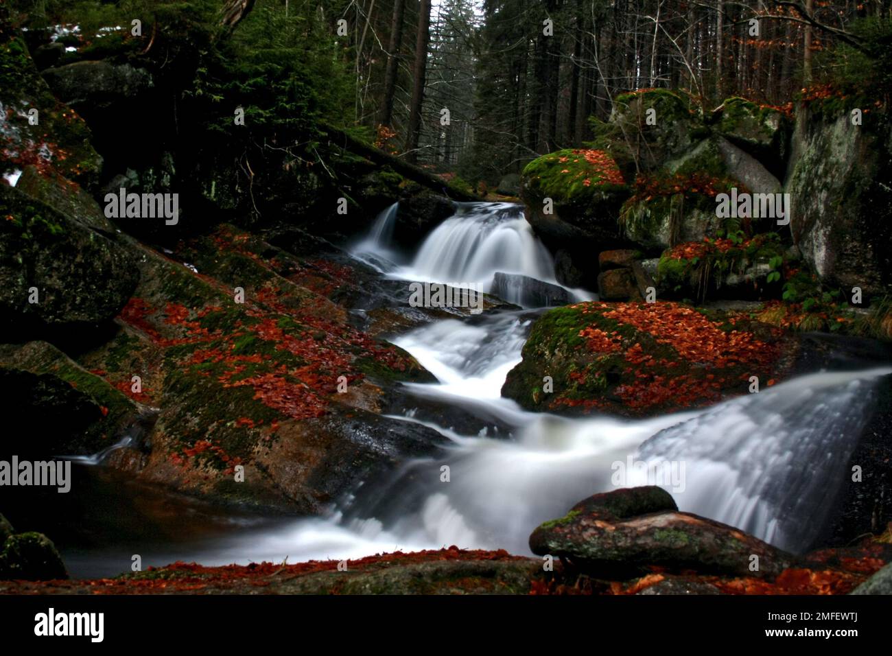 A long exposure of the stream flowing down the mossy rocks in a deep ...