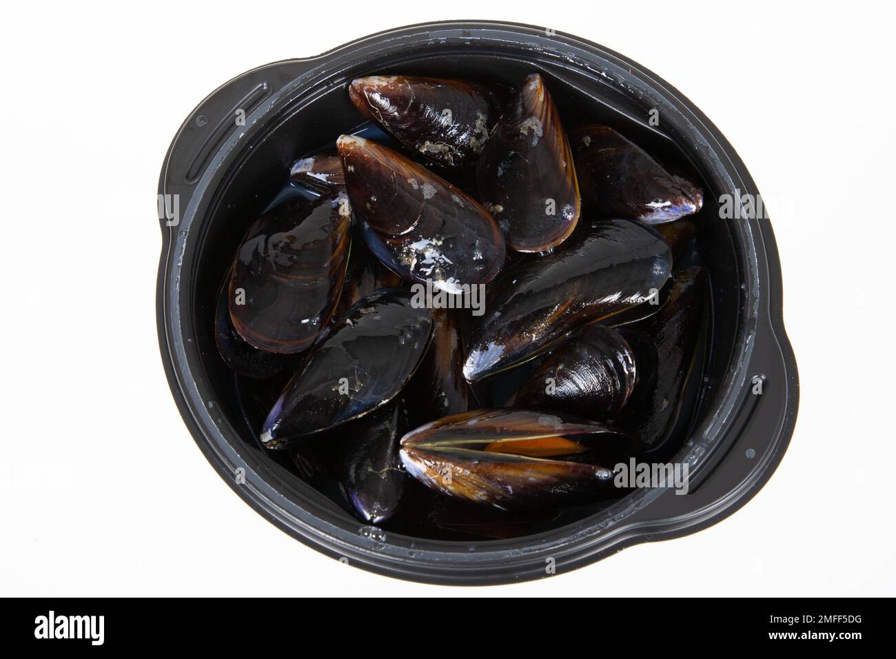 Fresh mussel fresh boiled cooking plastic black dish in white ...