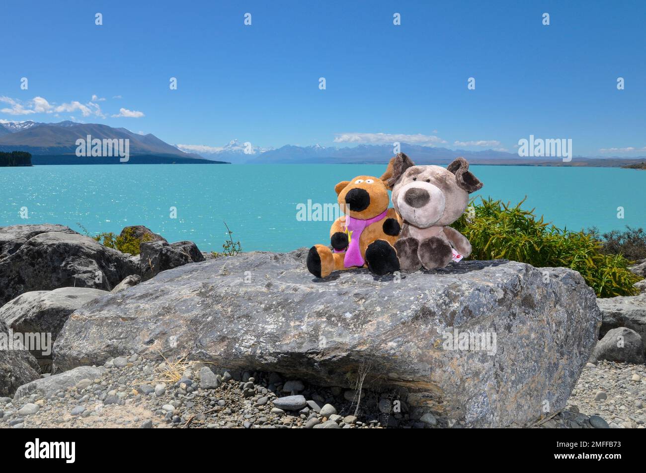 Travel mascots posed at Lake Pukaki on South Island New Zealand ...