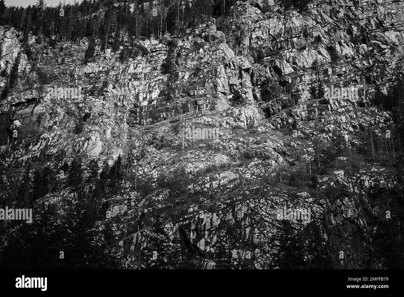 A scenic view of a rocky mountain range covered with forest in ...