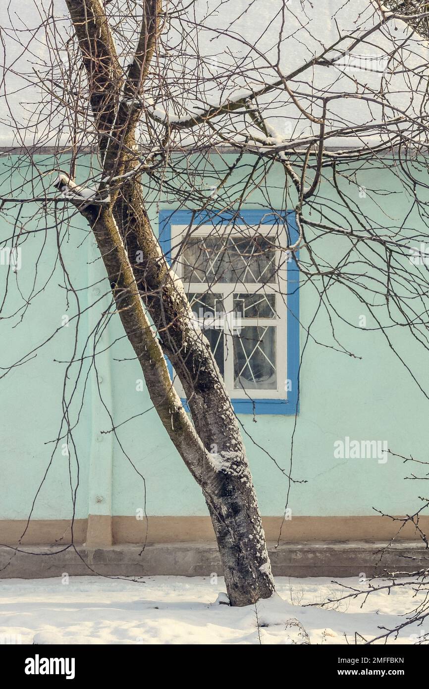 Tree branches in front building hi-res stock photography and images - Alamy