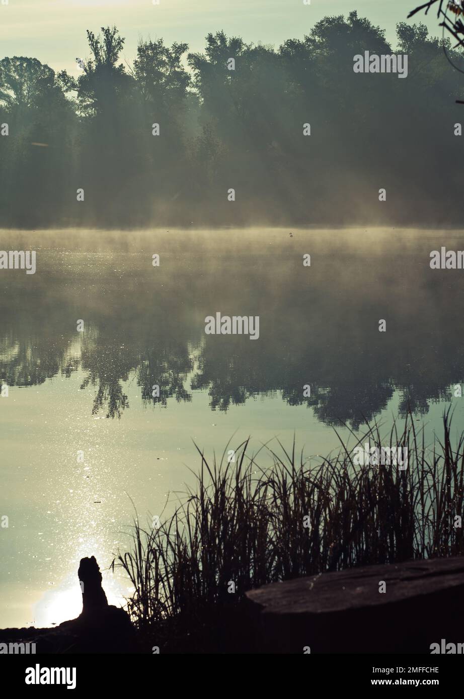 Landscape photography forest pond hi-res stock photography and images ...