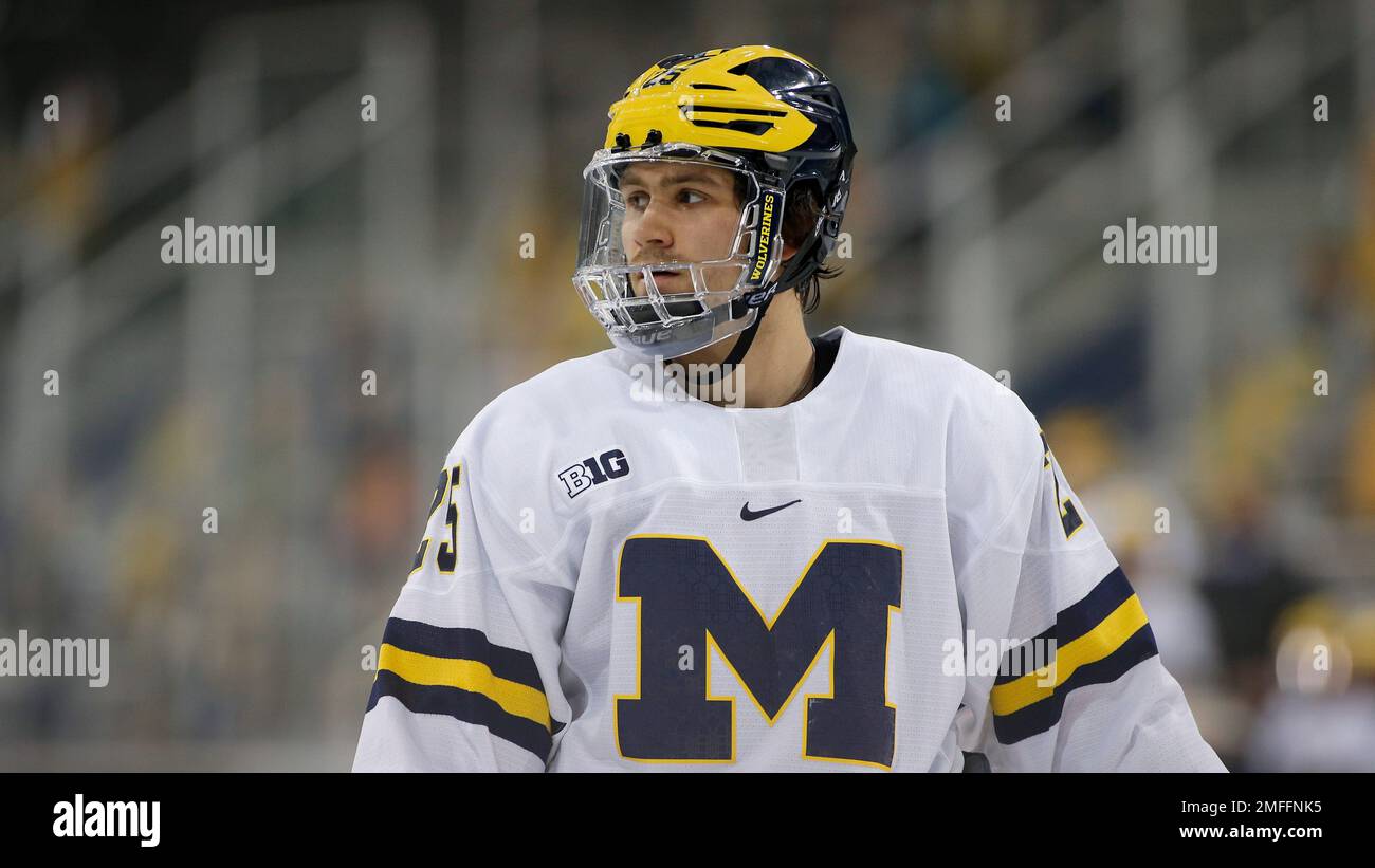 Michigan's Luke Morgan plays during an NCAA hockey game on Wednesday ...