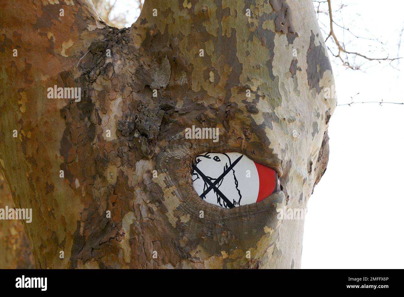 Prohibiting red signs prohibited dog traffic sign swallowed and eaten ...