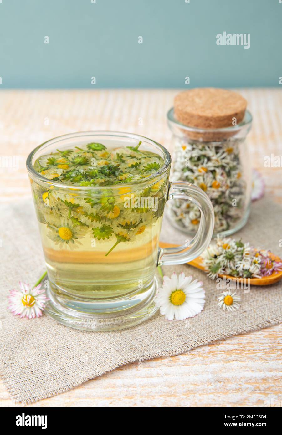 Dried herbal medicinal plant Common Daisy, also known as Bellis ...
