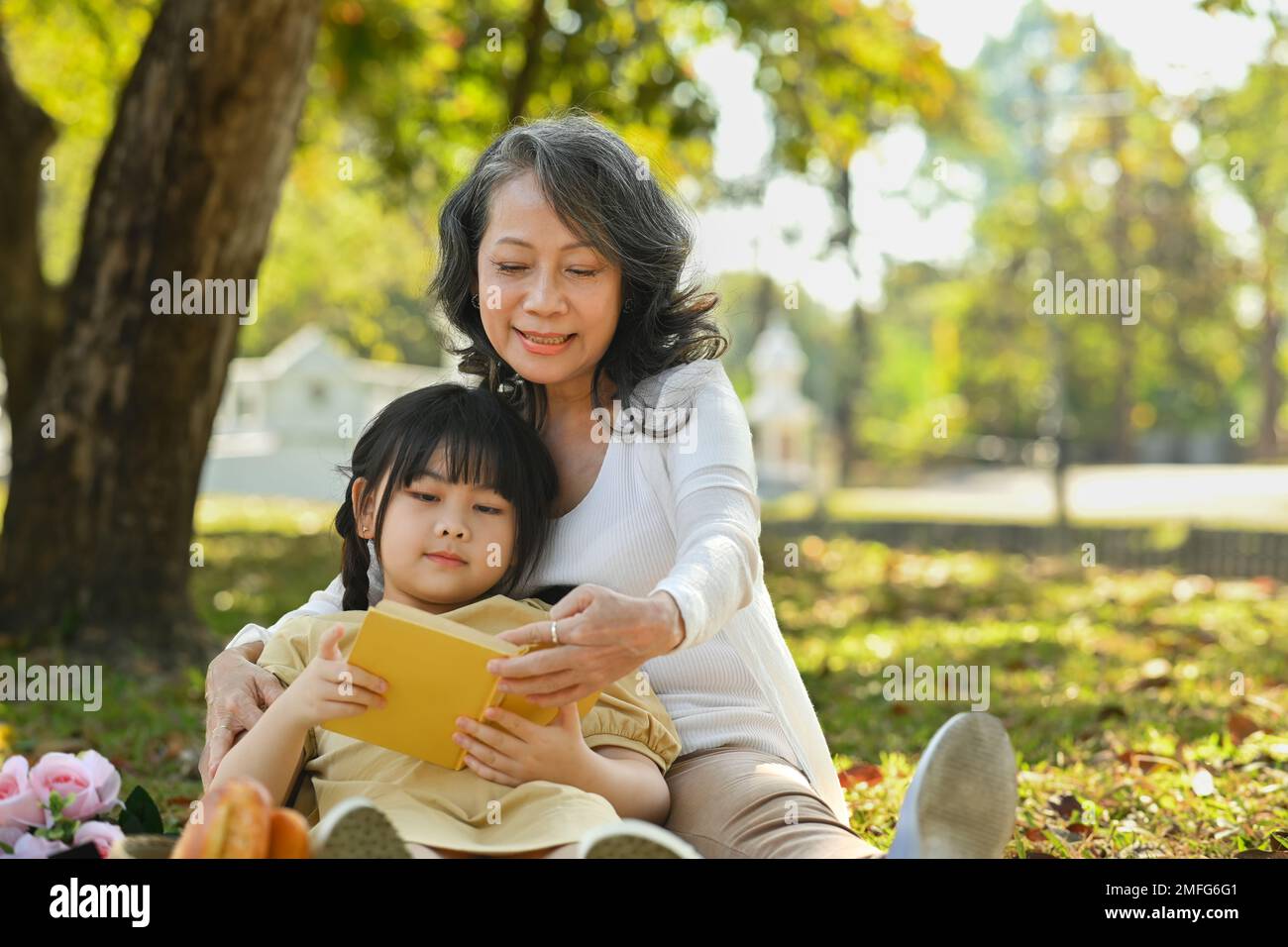 Affectionate grandmother and adorable little child reading reading ...