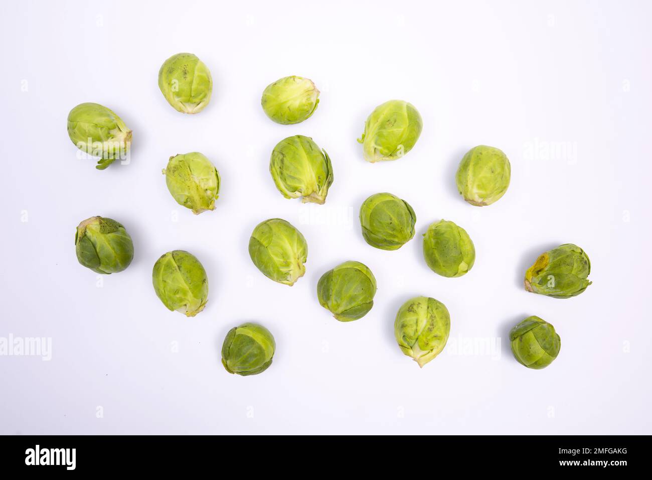 green fresh sprouts on white background Stock Photo - Alamy