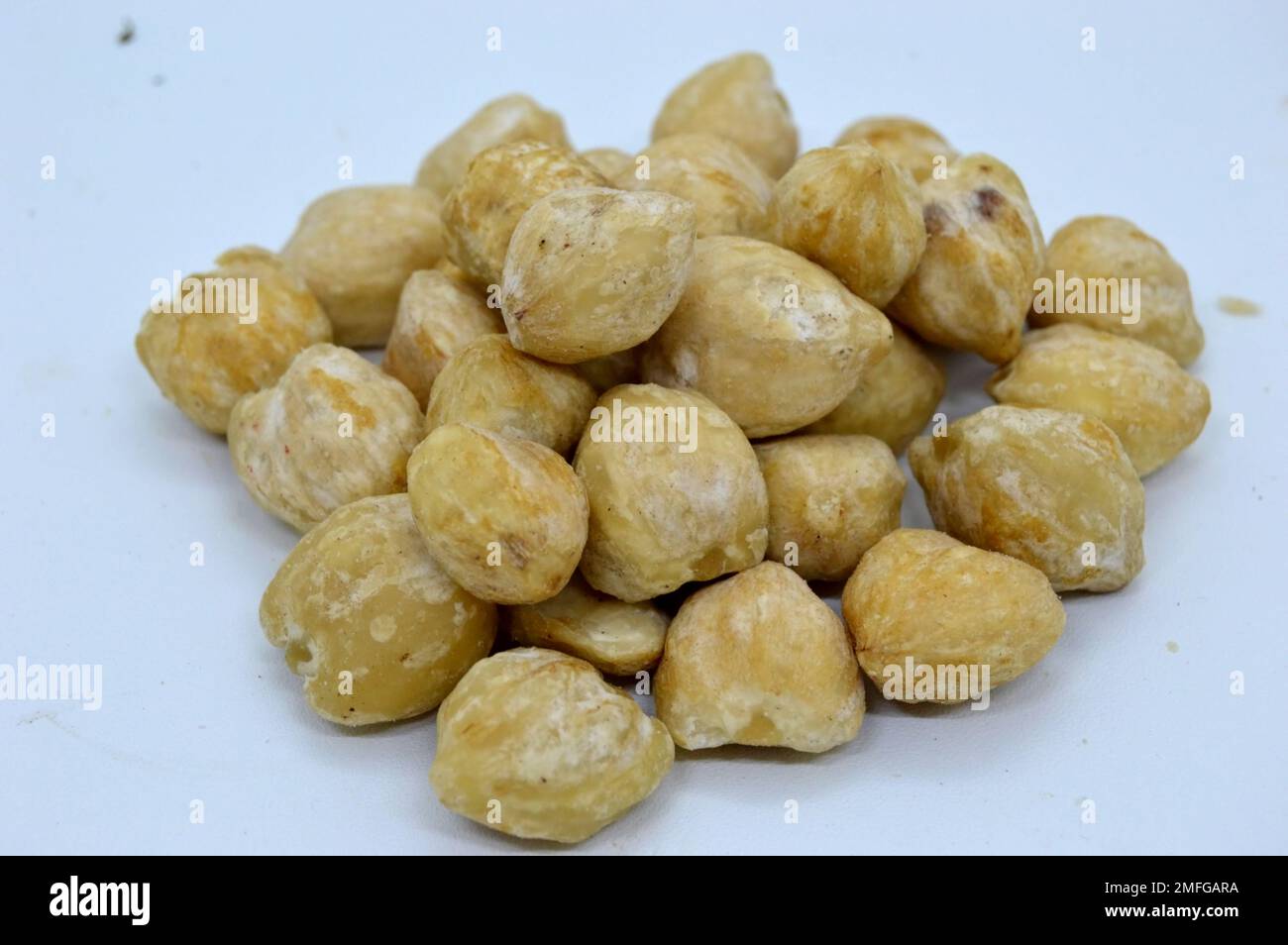 Kemiri Also Known As Candleberry, Indian Walnut, Kemiri, Varnish Tree ...