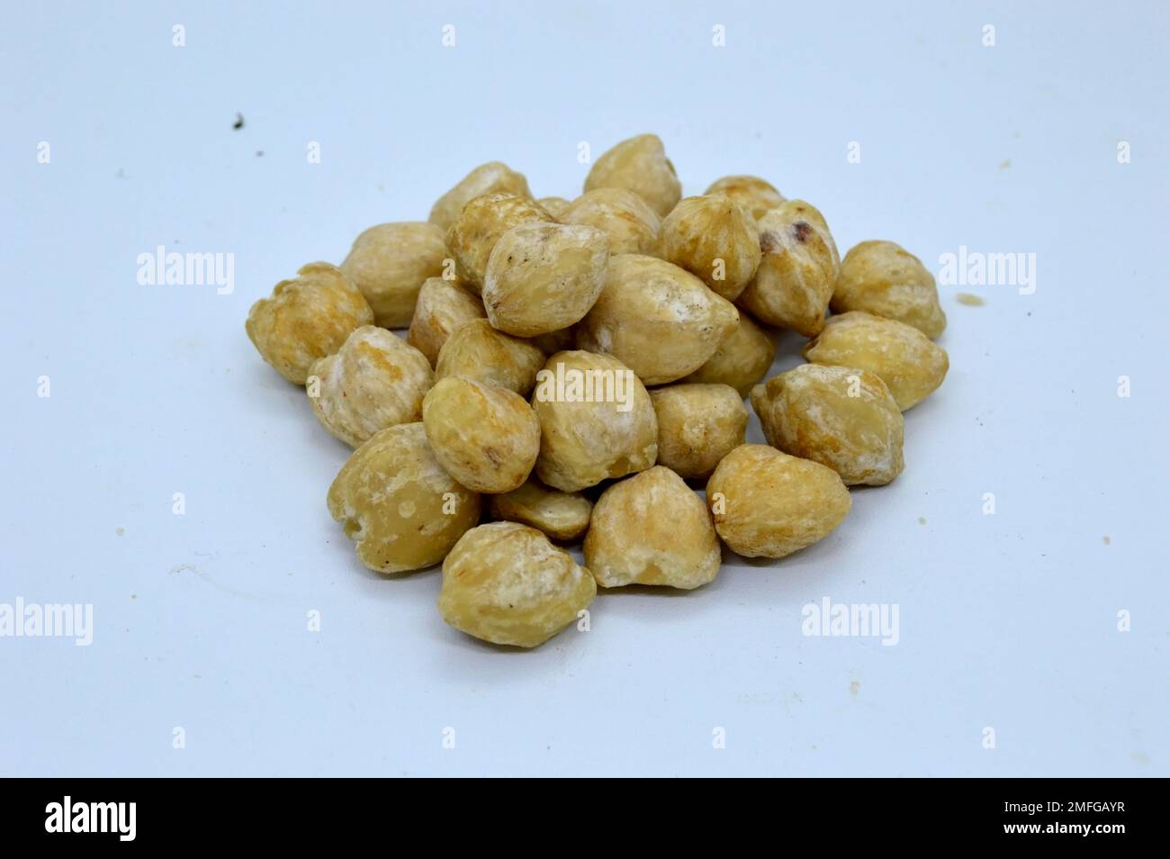 Kemiri Also Known As Candleberry, Indian Walnut, Kemiri, Varnish Tree ...