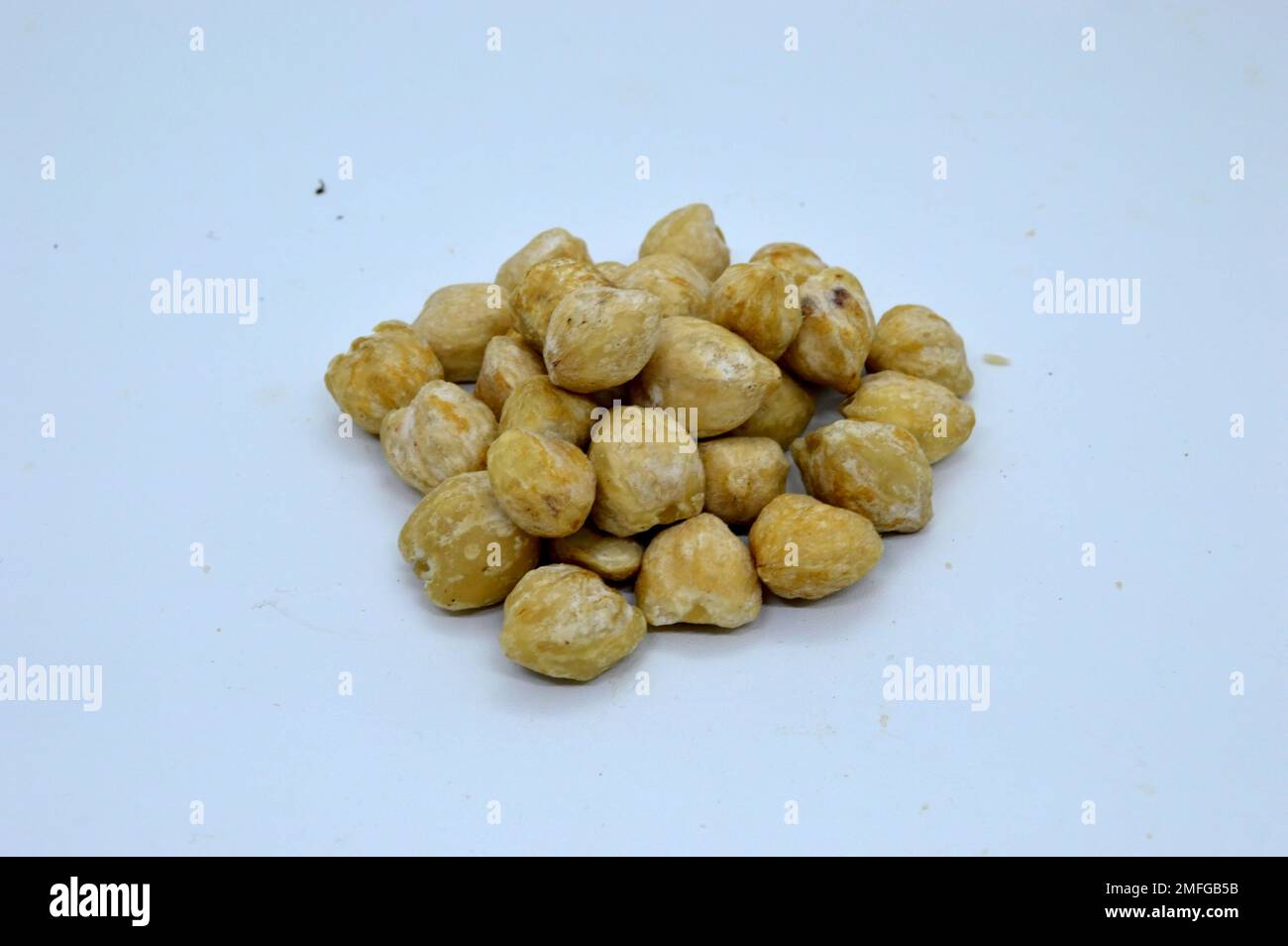 Kemiri Also Known As Candleberry, Indian Walnut, Kemiri, Varnish Tree ...