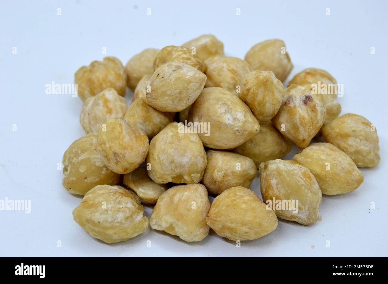 Kemiri Also Known As Candleberry, Indian Walnut, Kemiri, Varnish Tree ...