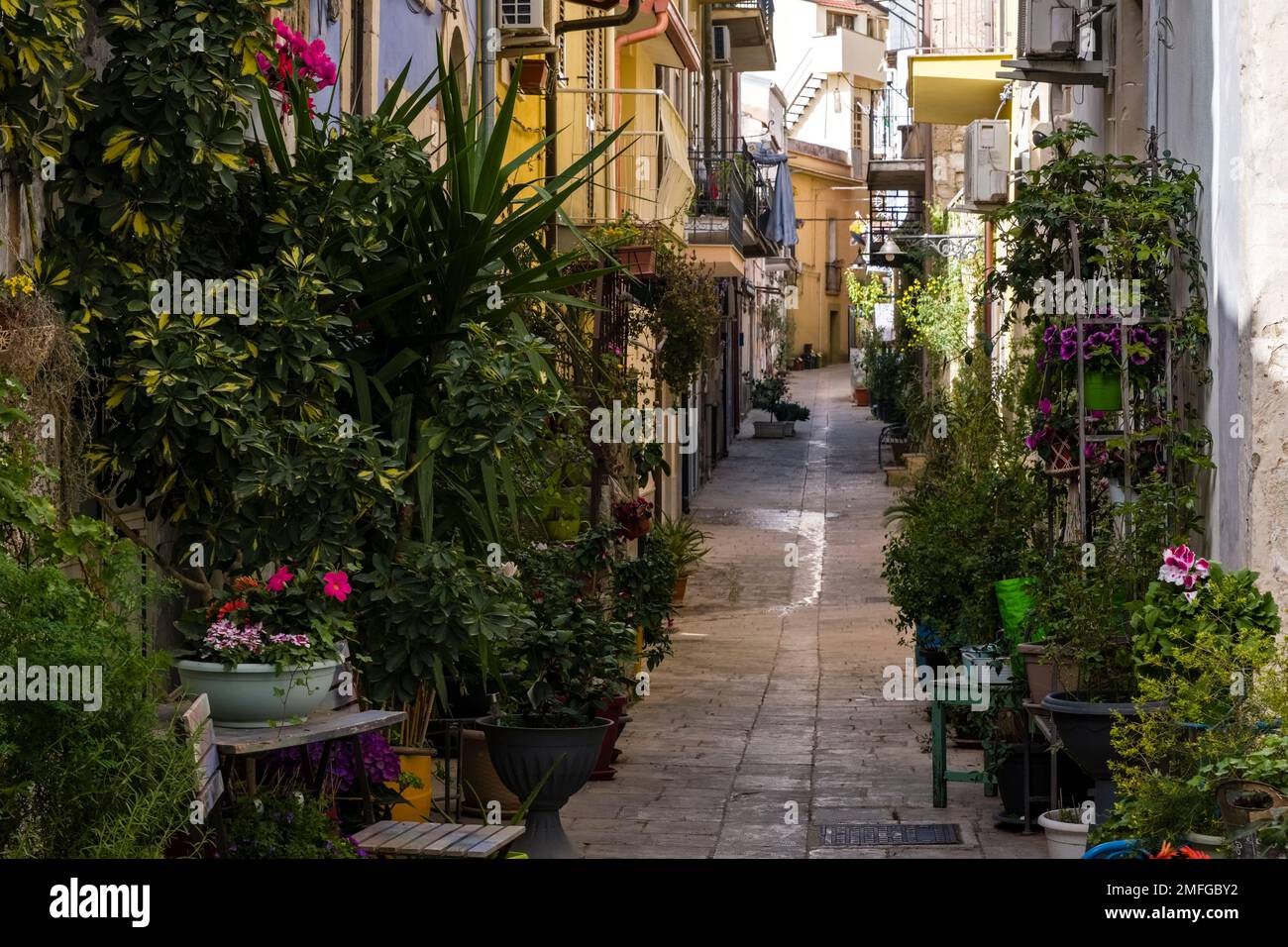 A small alley with many green plants in the old part of the town Ragusa ...