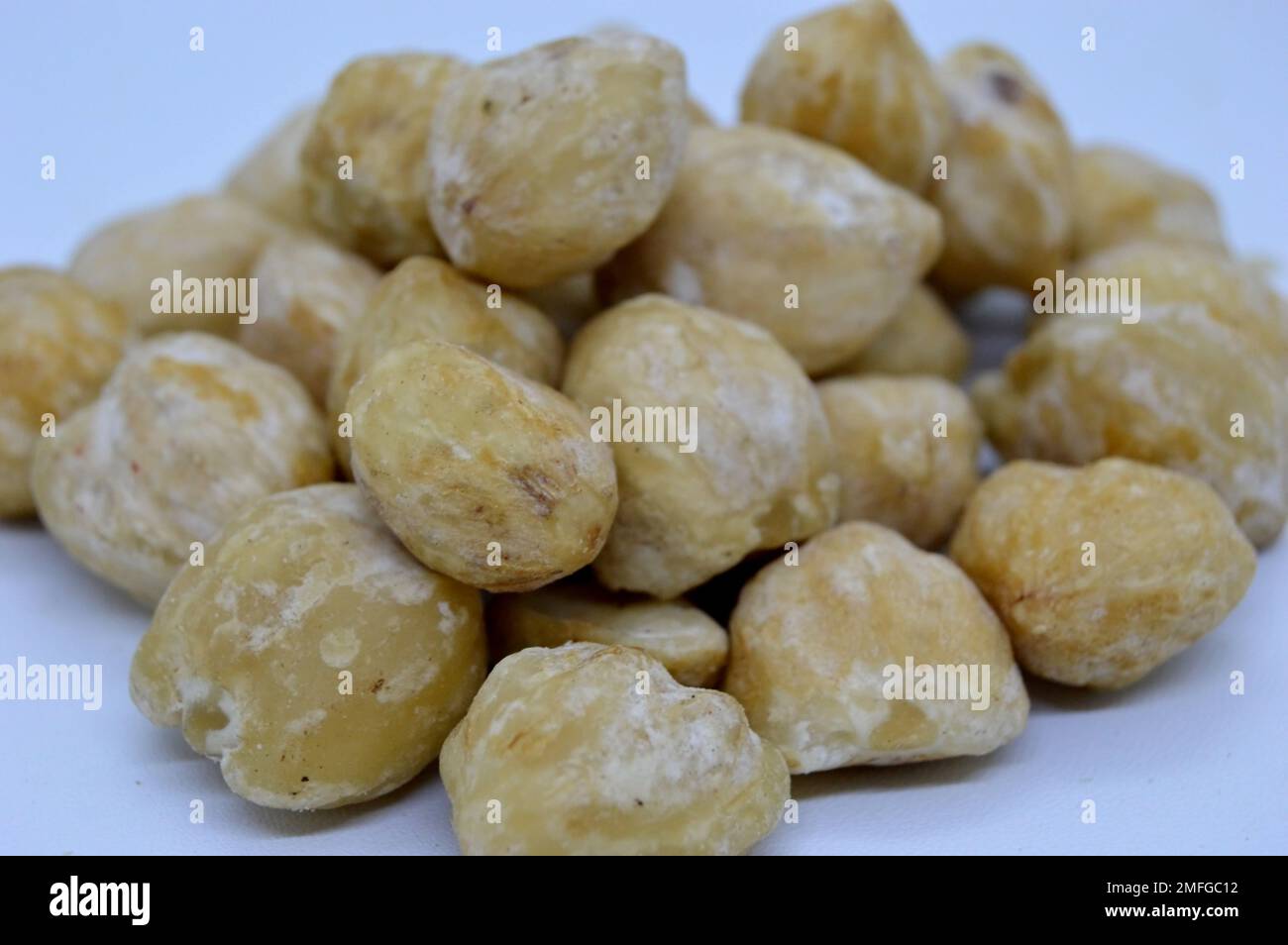 Kemiri Also Known As Candleberry, Indian Walnut, Kemiri, Varnish Tree ...