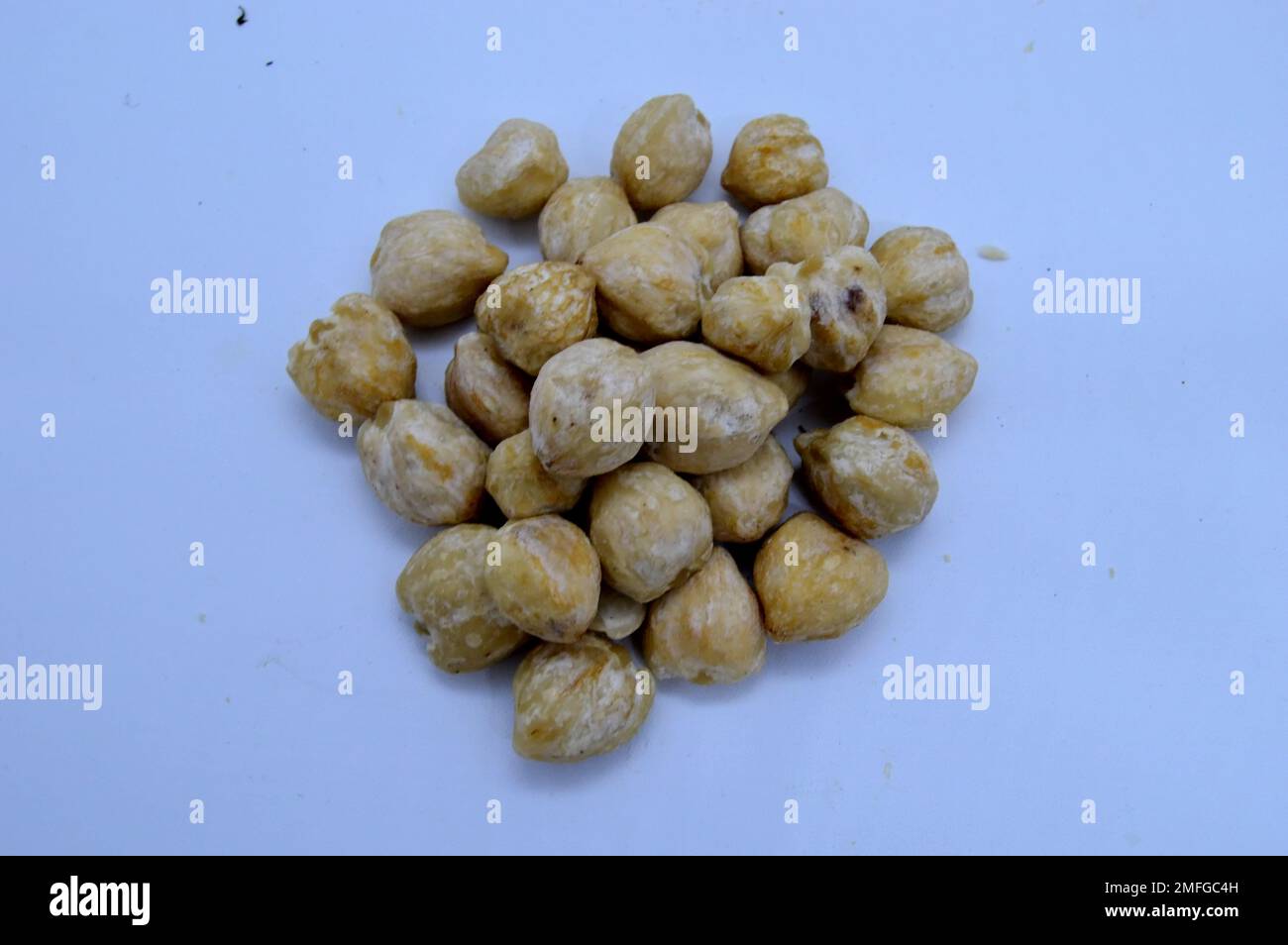 Kemiri Also Known As Candleberry, Indian Walnut, Kemiri, Varnish Tree ...