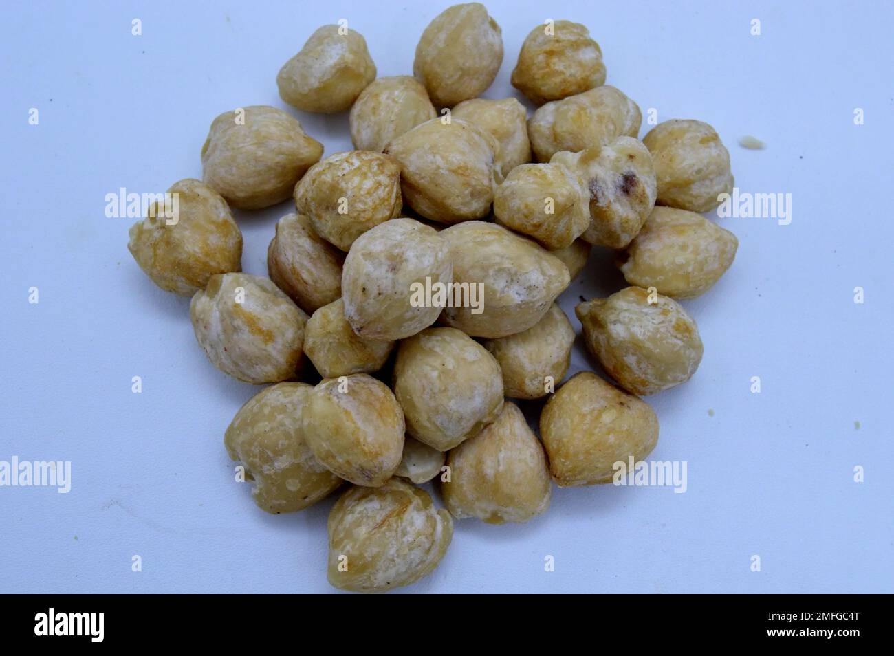 Kemiri Also Known As Candleberry, Indian Walnut, Kemiri, Varnish Tree ...