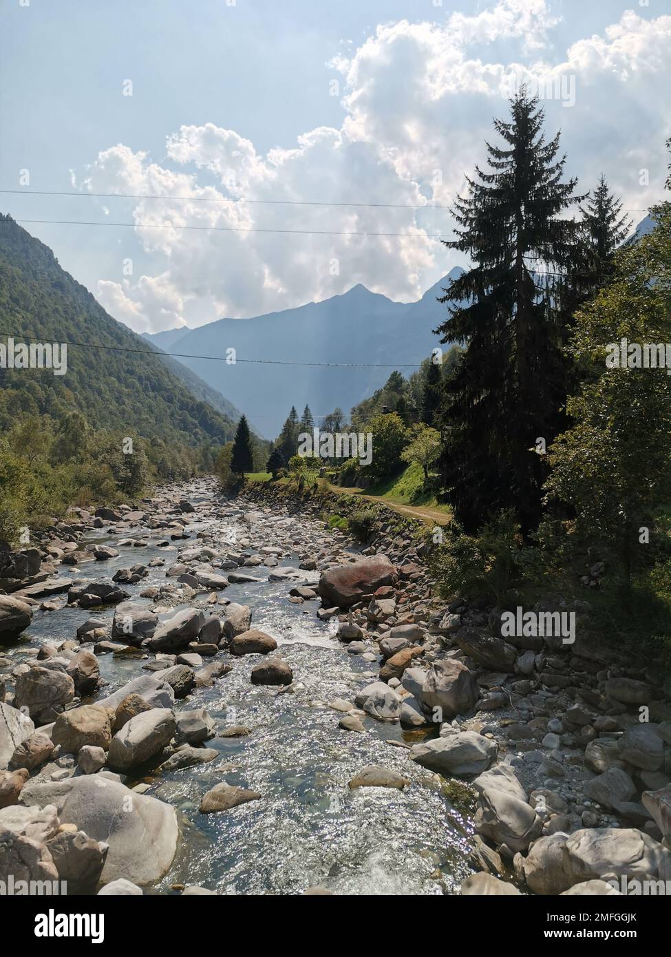 A vertical shot of a river with rocks surrounded by green vegetation ...