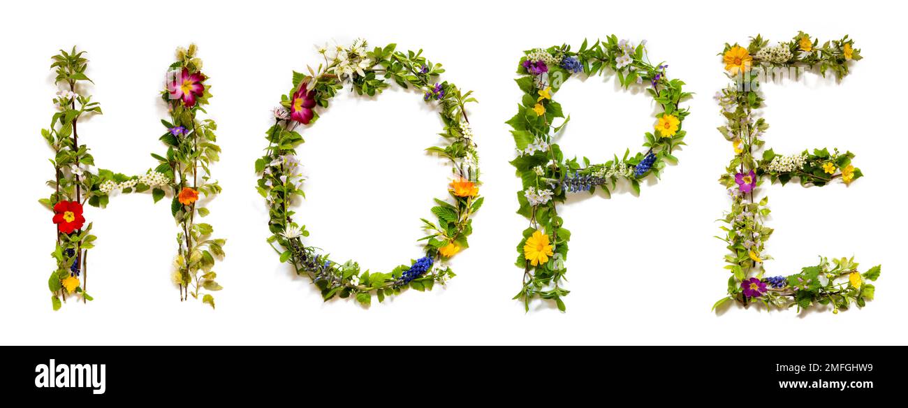 Blooming Flower Letters Building English Word Hope Stock Photo - Alamy