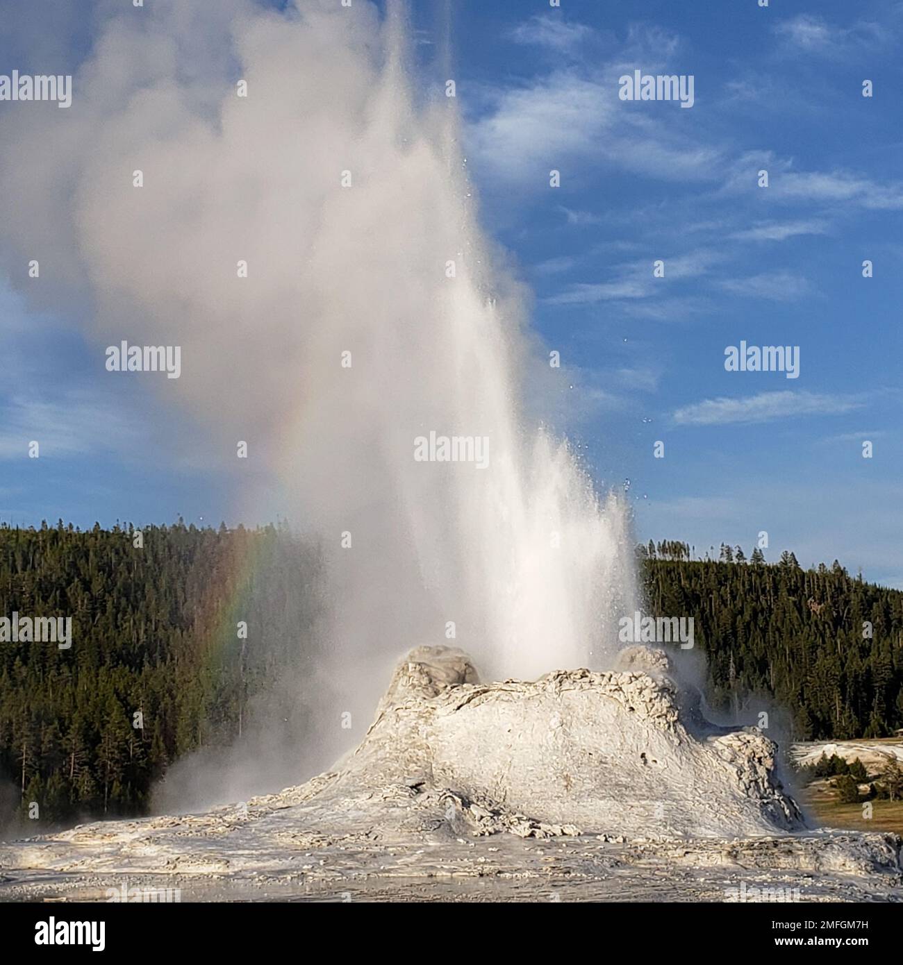 A geyser in background of dense trees Stock Photo - Alamy