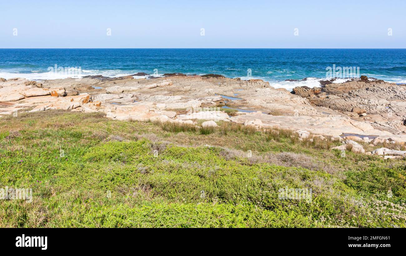 Ocean rocky coast green plants with rock shelf ledge into calm sea blue ...