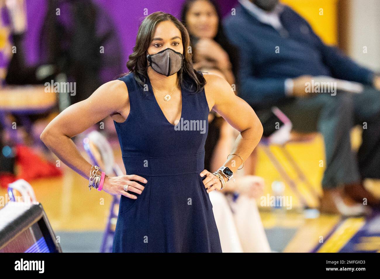 Georgia Lady Bulldogs head coach Joni Taylor during an NCAA basketball ...