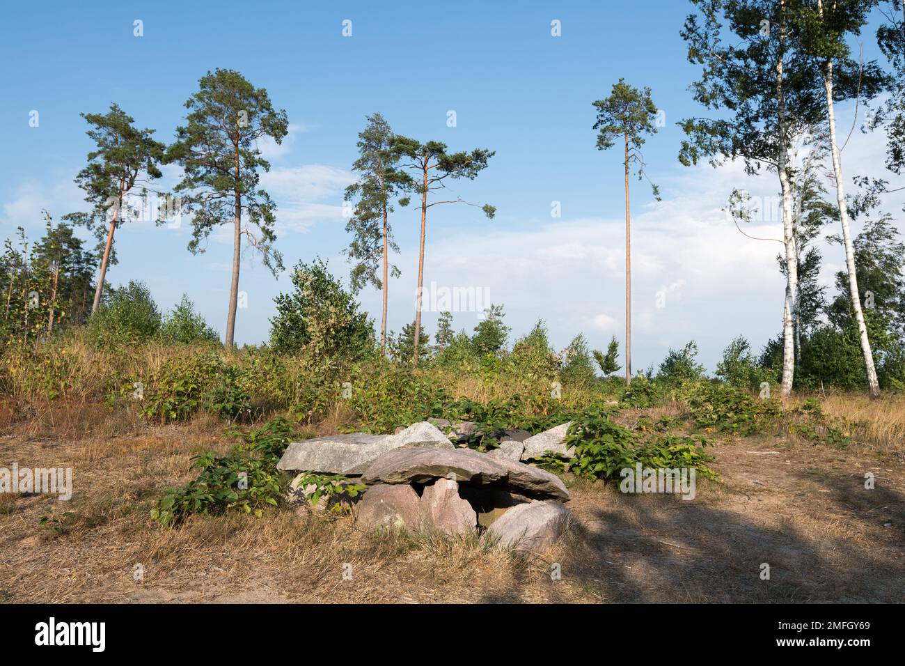 Stone Cirle of Prehistoric Goth burial ground Rezerwat przyrody ...