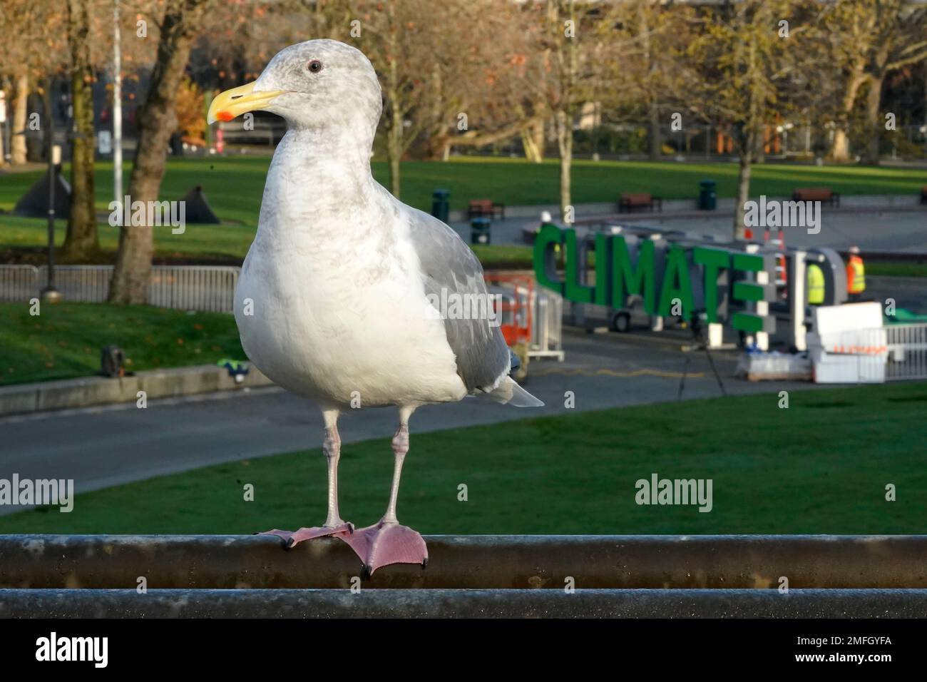 A seagull stands by as workers assemble signs for the top of Climate ...