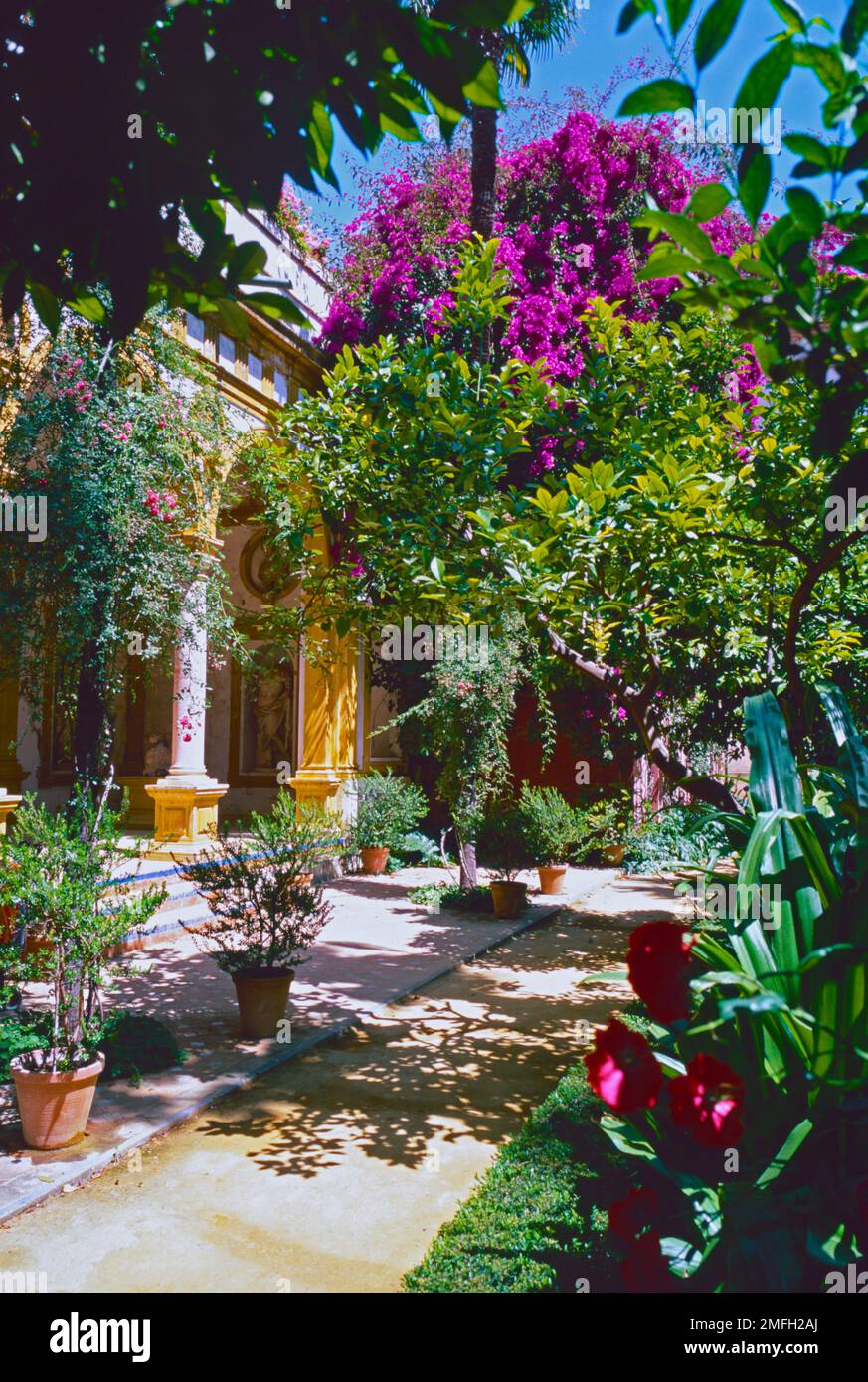 Spanish patio competition hi-res stock photography and images - Alamy