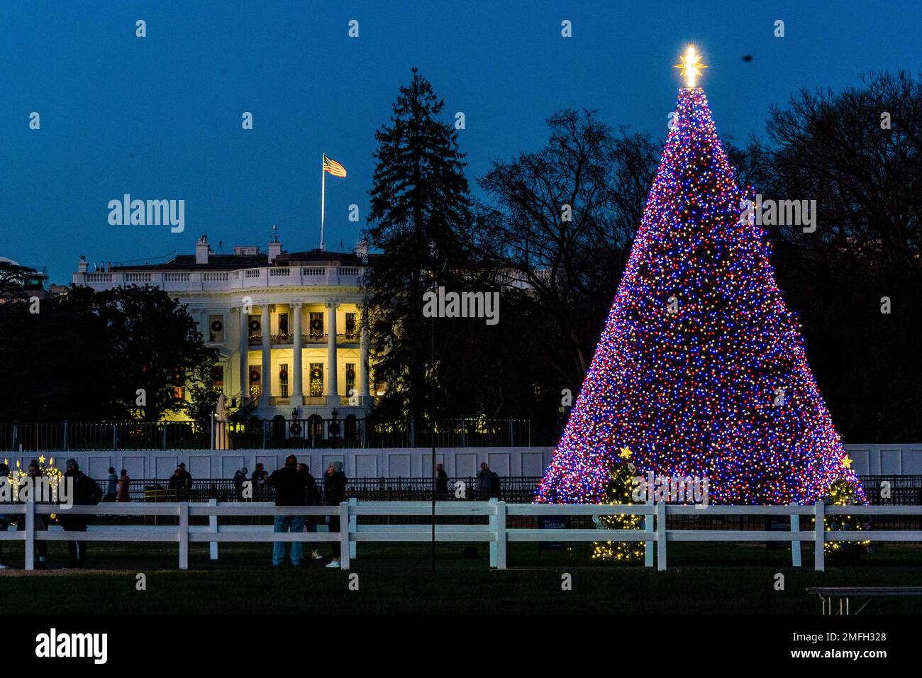 The National Christmas Tree is lit on the Ellipse near the White House ...