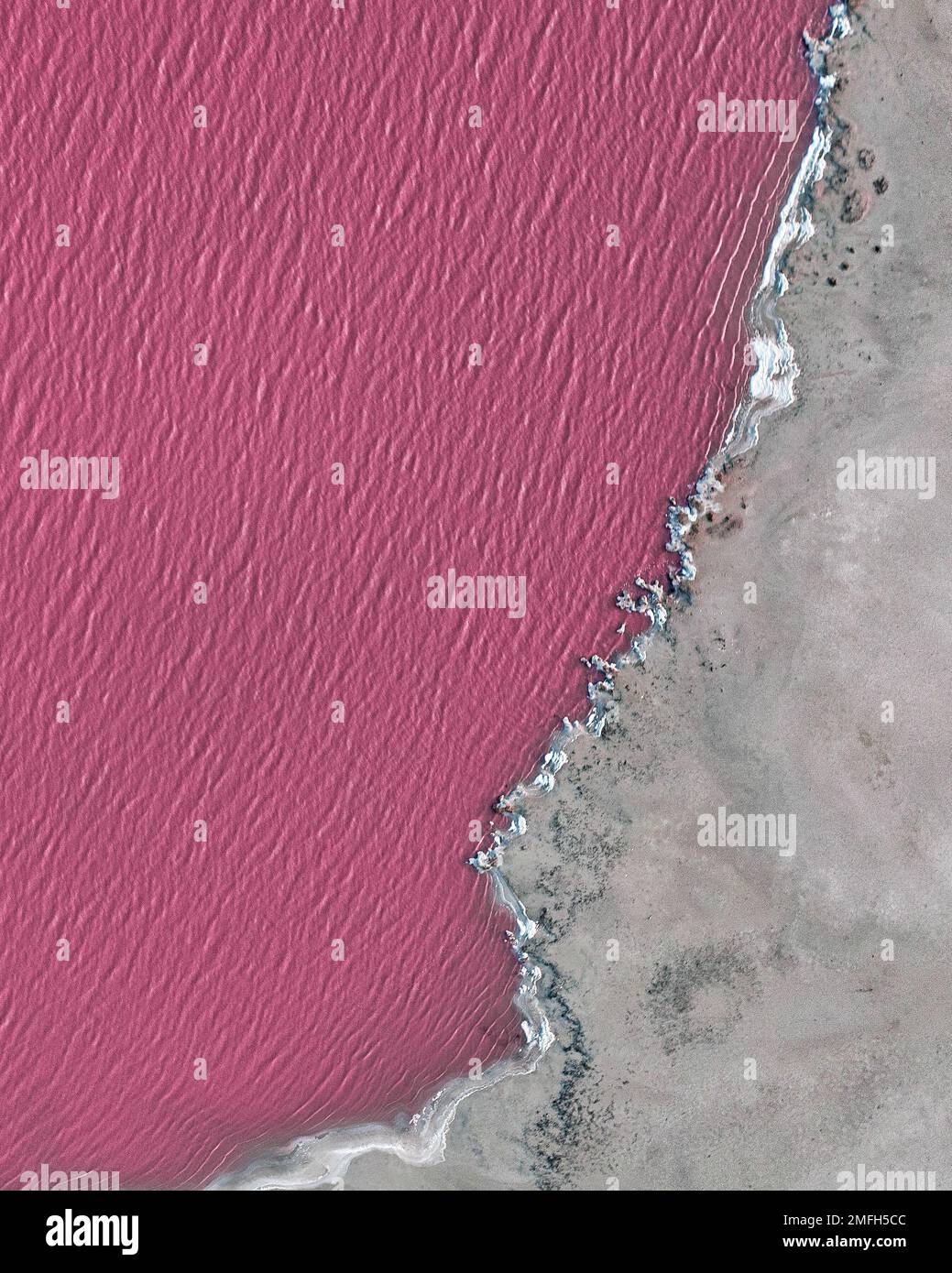 Beautiful shores of pink lake, abstract outdoor background Stock Photo ...