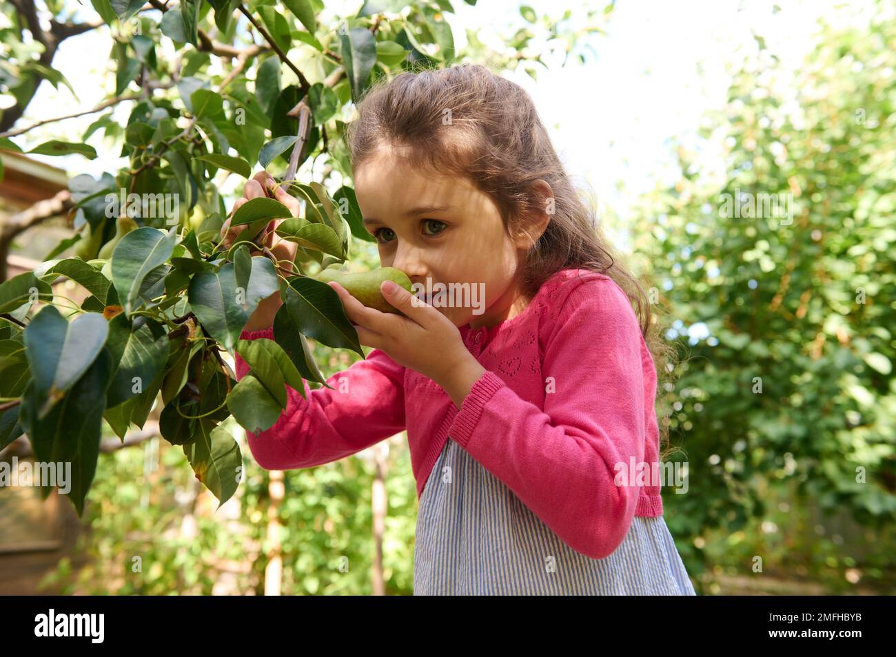 Close-up portrait of a Caucasian happy smiling little girl, smelling a ...