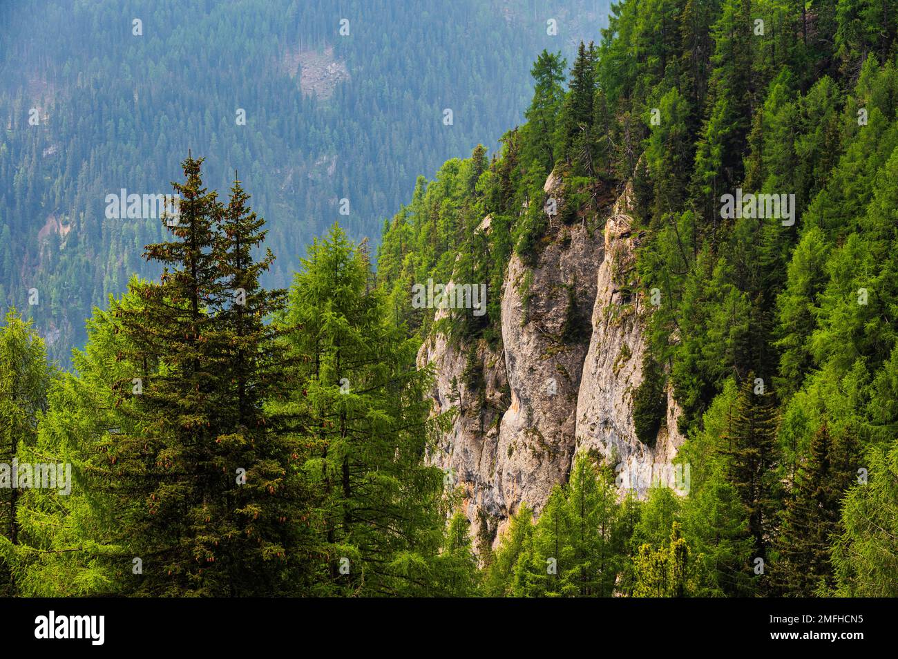 Alpine Landscape Inside Pozza Di Fassa Buffaure During A Summer Season