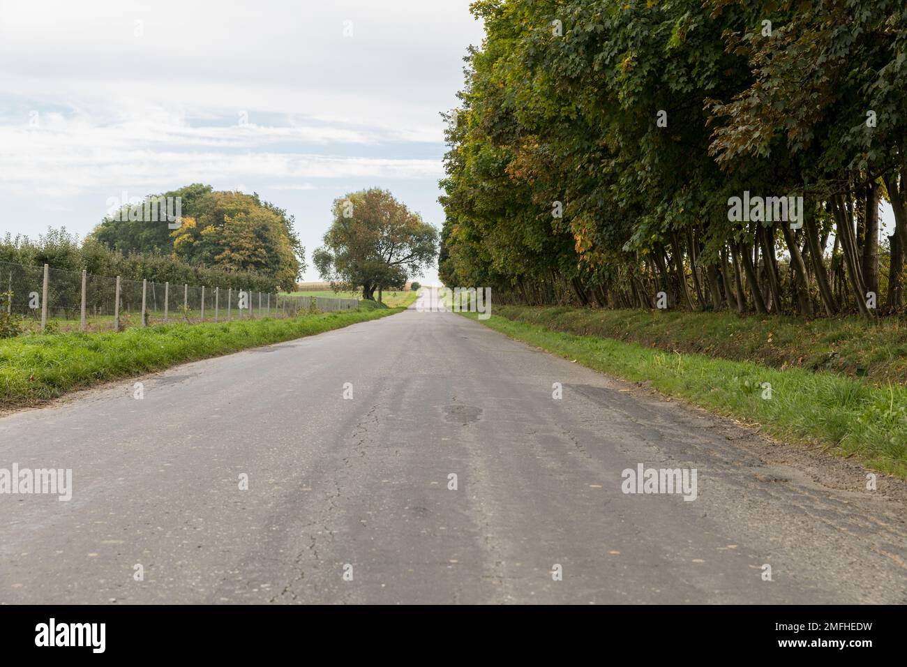 Picturesque asphalt road with trees on the roadside Stock Photo - Alamy