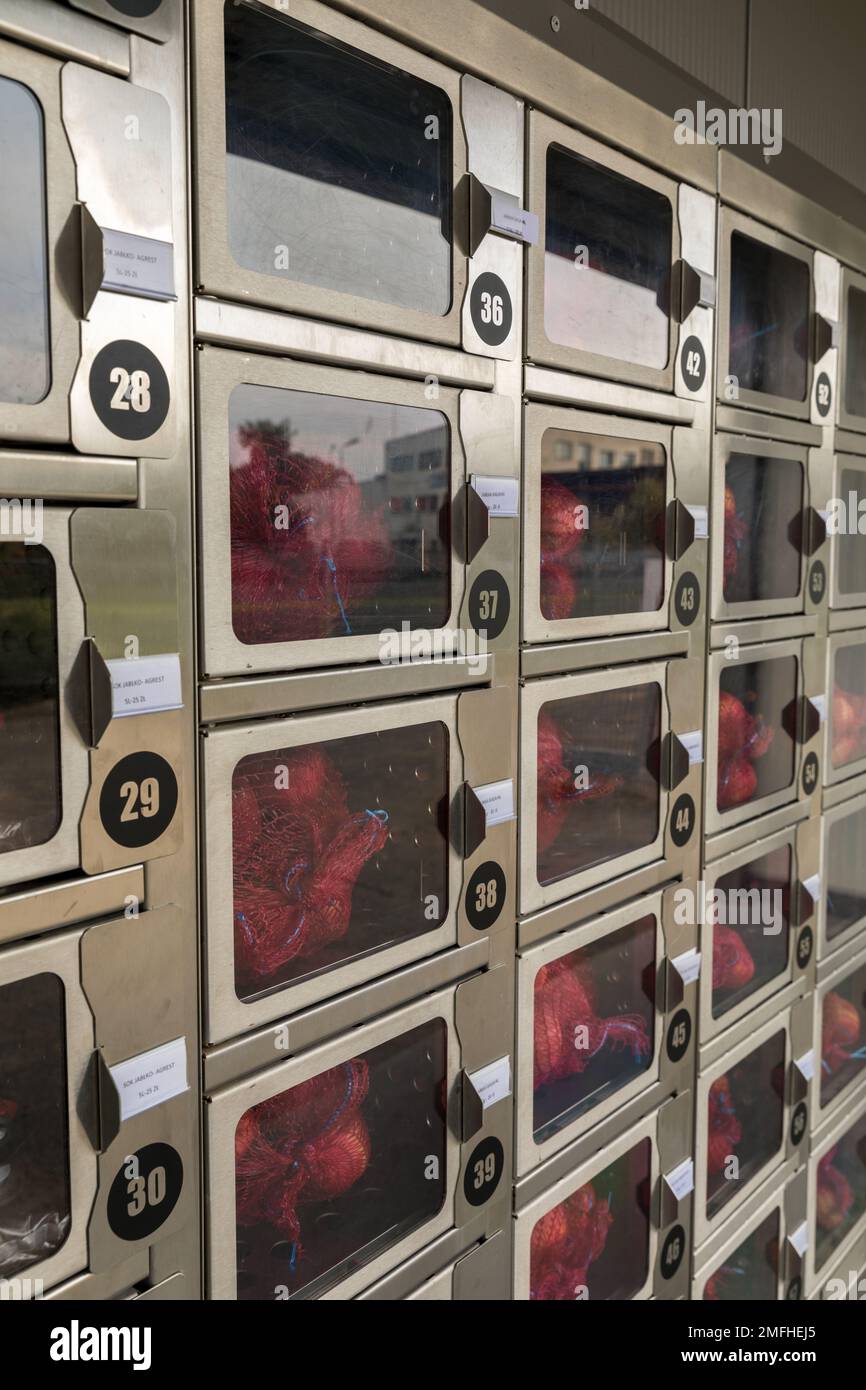 Wall with lockers, metal doors with glass windows, unmanned sale of ...