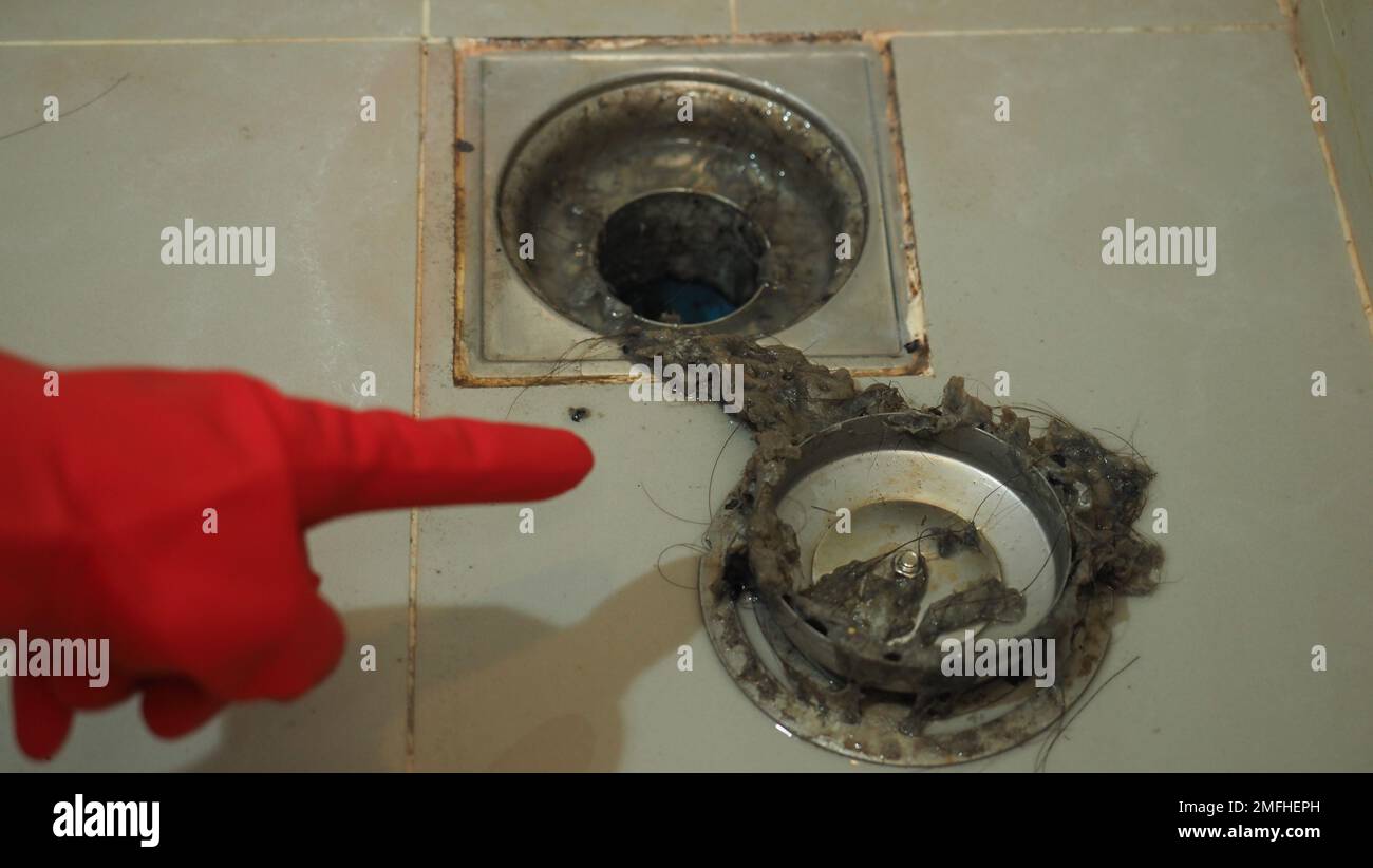 Drain cleaning. Clogged and dirty sewer pipes floor drain. Full of hair ...