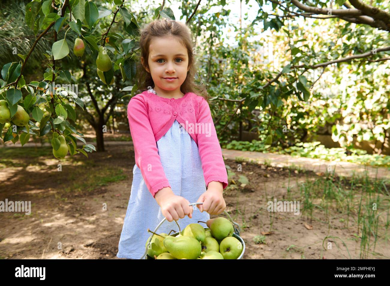 Portrait of Caucasian lovely little child girl, in pink bolero ...