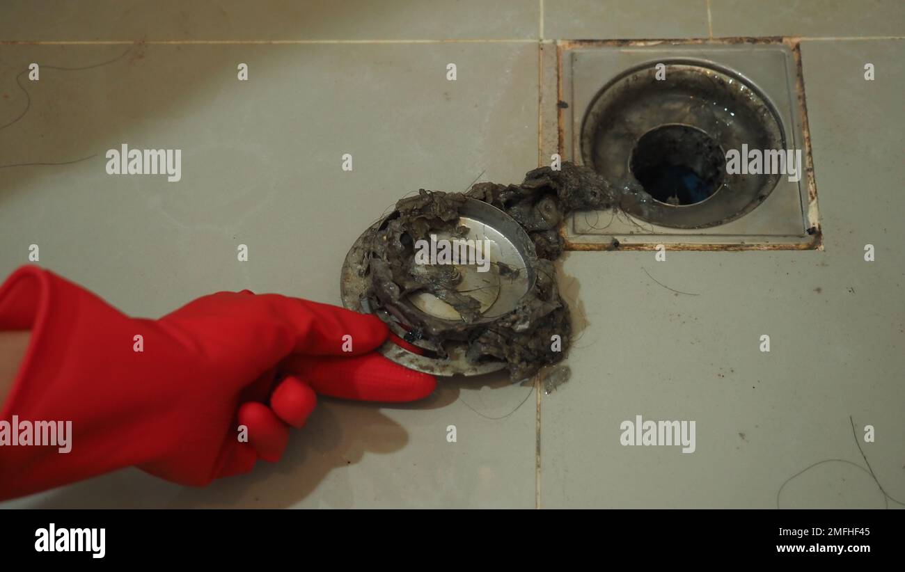 Drain cleaning. Clogged and dirty sewer pipes floor drain. Full of hair ...