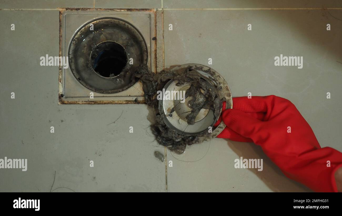 Drain cleaning. Clogged and dirty sewer pipes floor drain. Full of hair ...