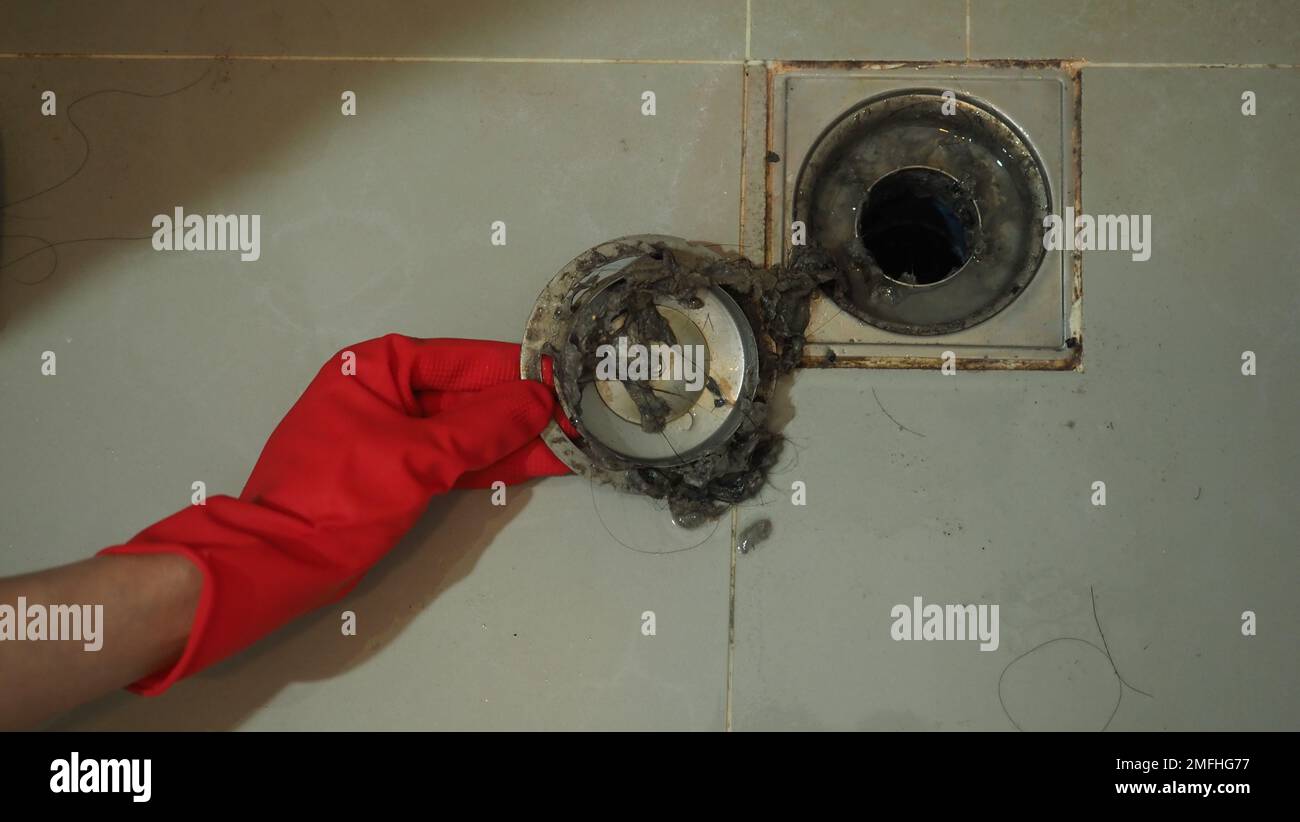 Drain cleaning. Clogged and dirty sewer pipes floor drain. Full of hair ...