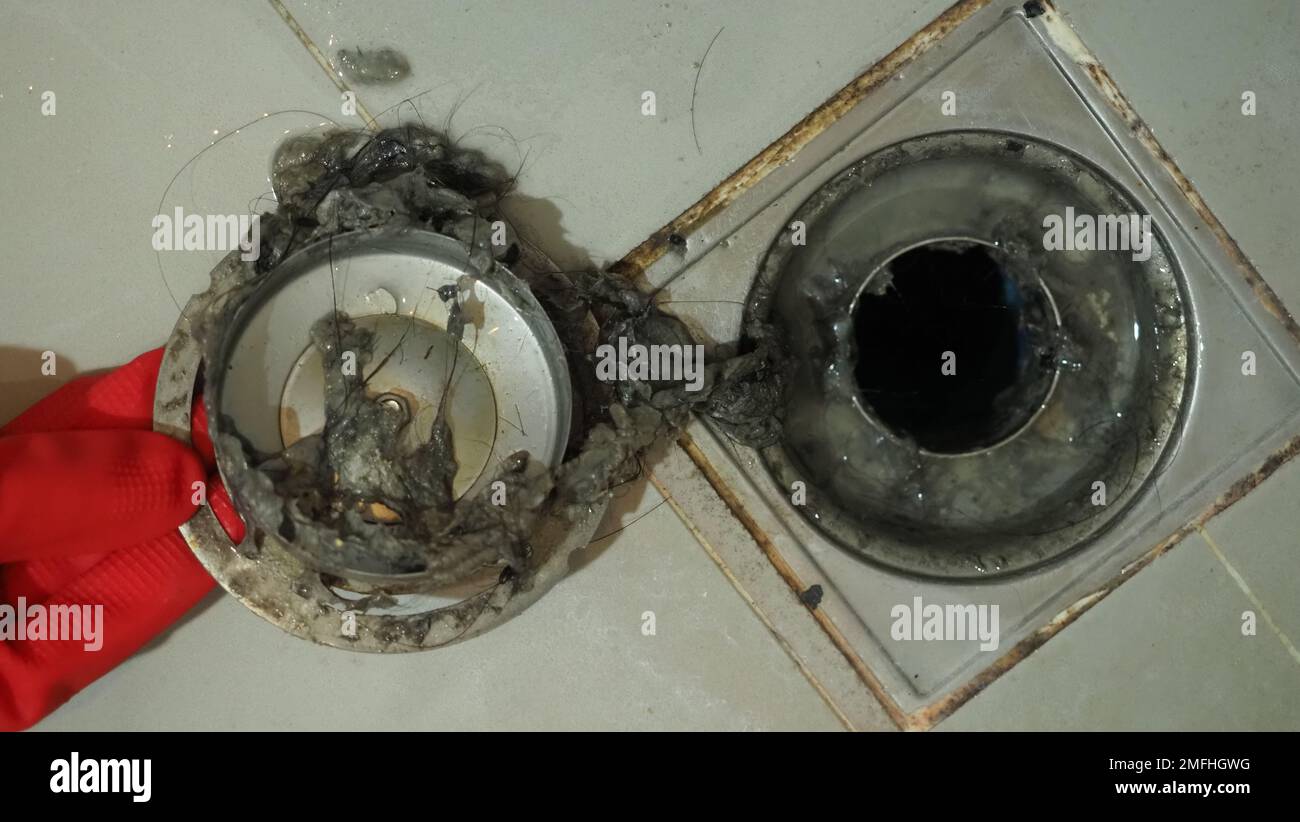 Drain cleaning. Clogged and dirty sewer pipes floor drain. Full of hair ...