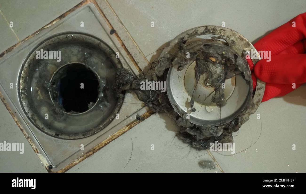 Drain cleaning. Clogged and dirty sewer pipes floor drain. Full of hair ...