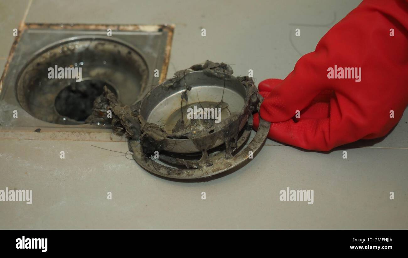 Drain cleaning. Clogged and dirty sewer pipes floor drain. Full of hair ...