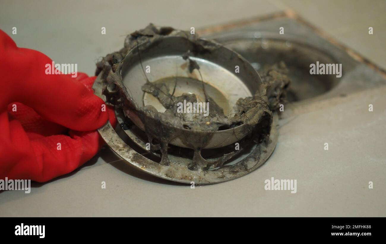 Drain cleaning. Clogged and dirty sewer pipes floor drain. Full of hair ...