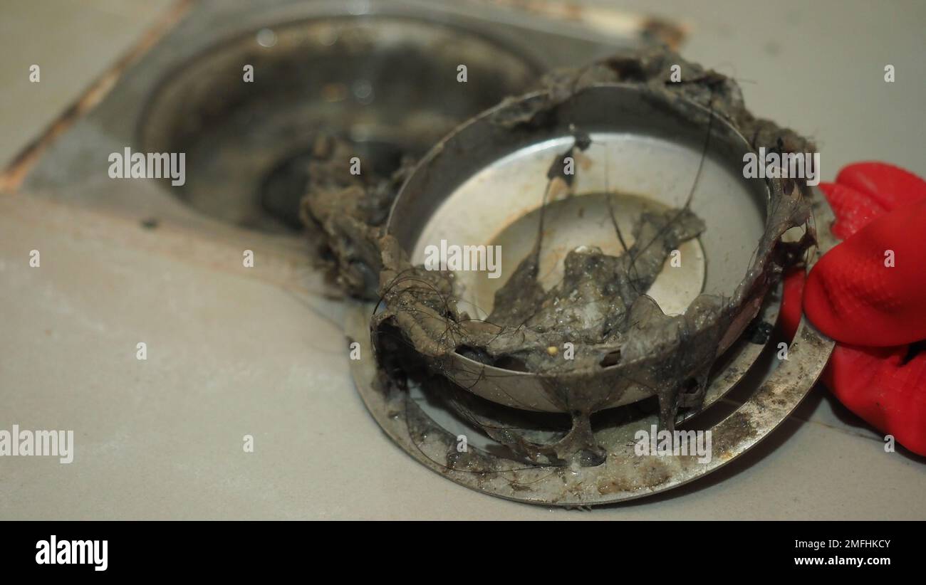 Drain cleaning. Clogged and dirty sewer pipes floor drain. Full of hair ...