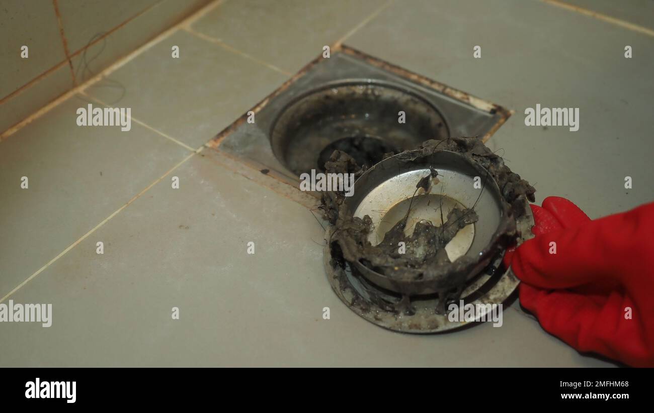 Drain cleaning. Clogged and dirty sewer pipes floor drain. Full of hair ...