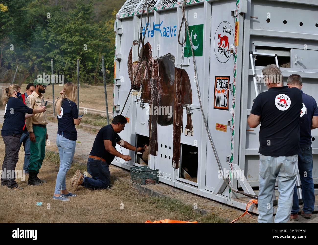 Dr. Amir Khalil, center, a veterinarian from Four Paws an international ...