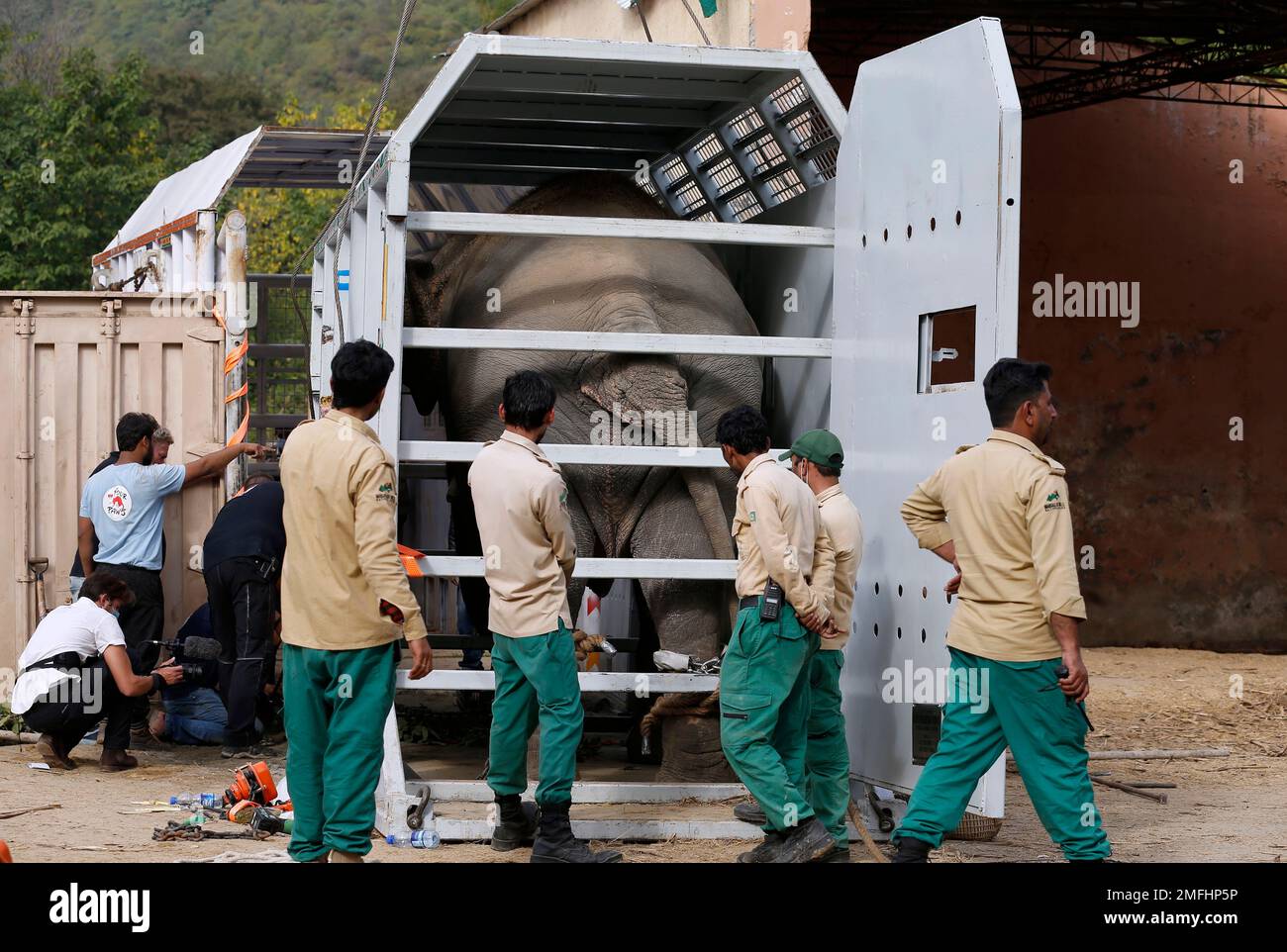 Pakistani wildlife workers arrange an elephant named Kaavan into a ...